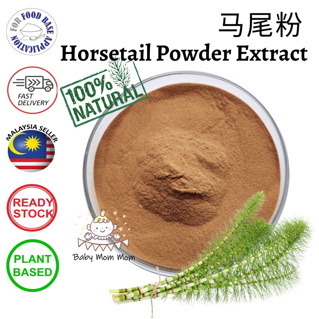 Horsetail Powder Extract | Horsetail Powder | 马尾草粉 - Food Grade
